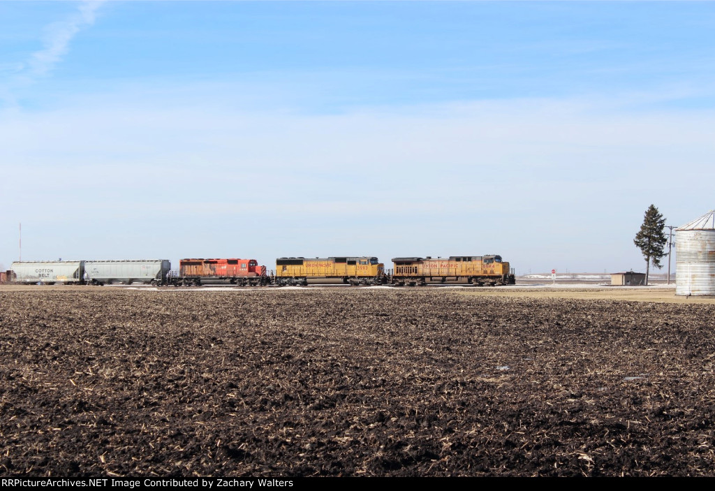 UP 6644 3993 CP 6022